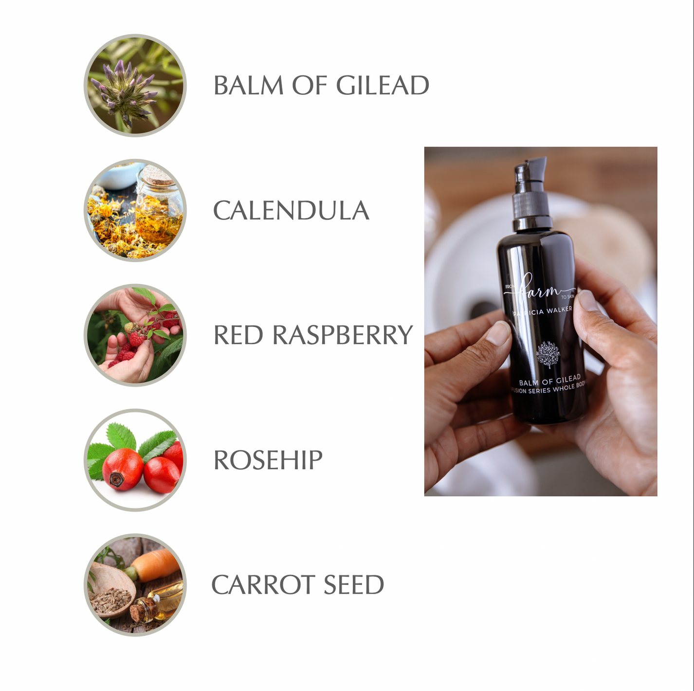 Infusion Series Whole Body Oil (Balm of Gilead) – Farm to Skin